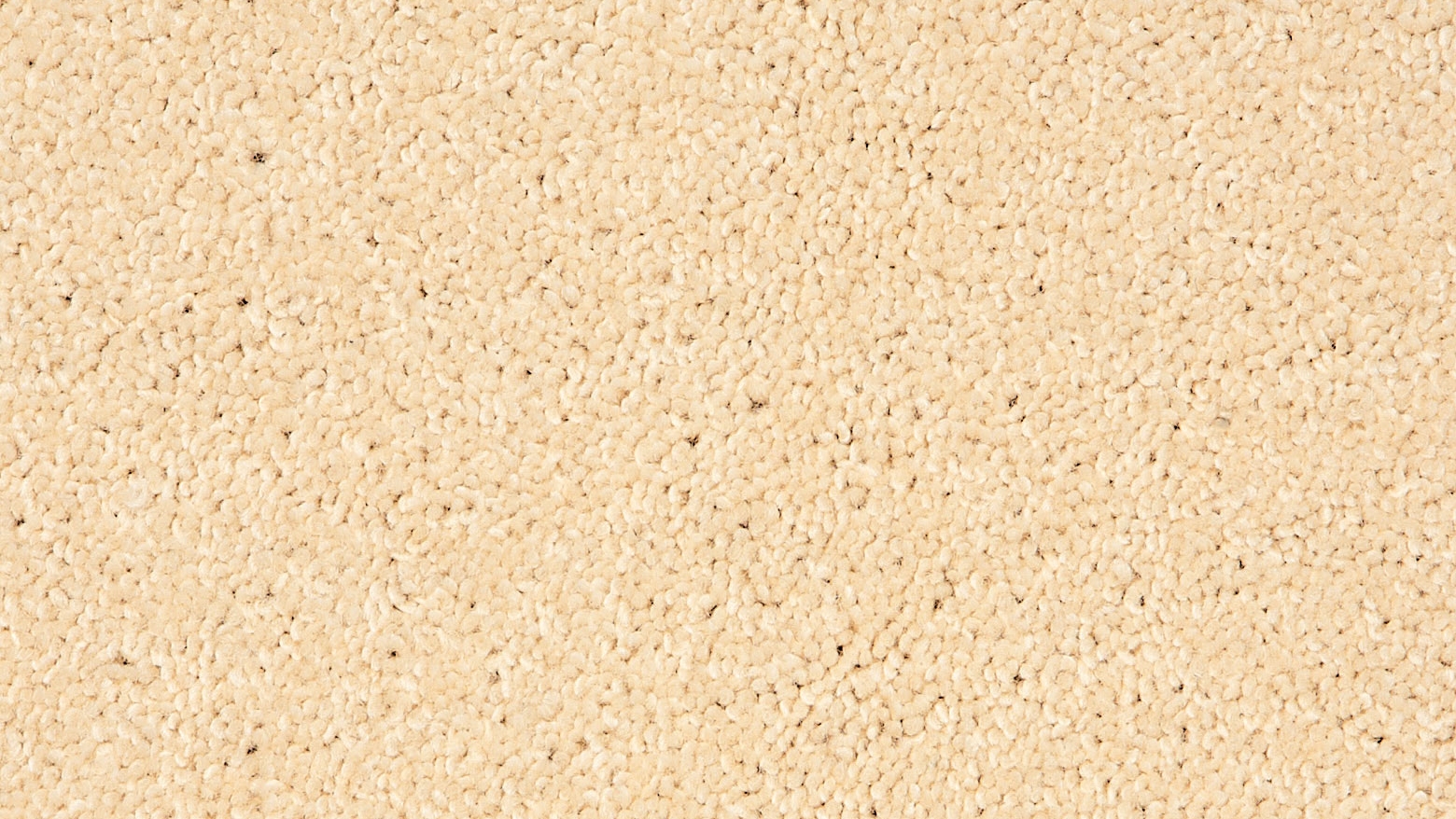 Naturally Smart Naturally Enticing Carpet - Grandeur | Harvey Norman