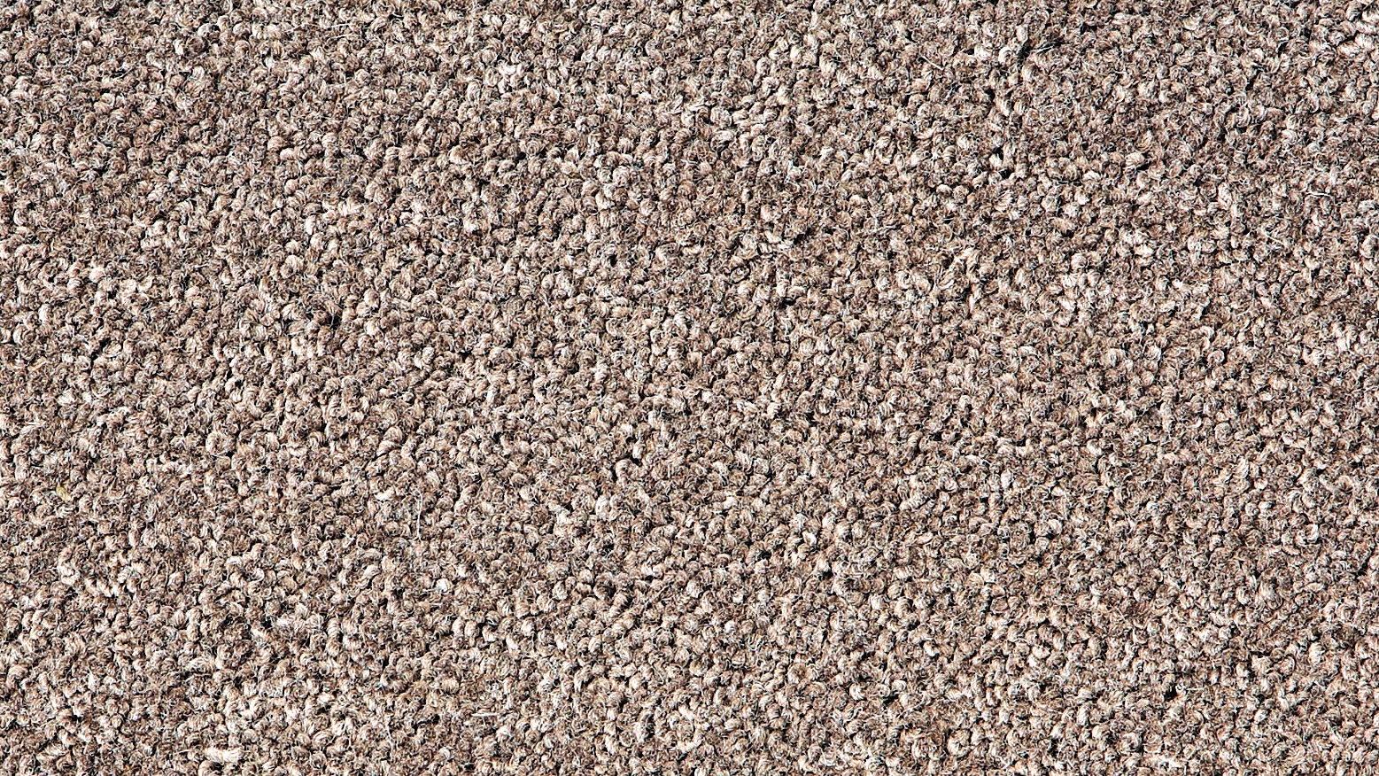 Naturally Smart Naturally Enticing Sacred Carpet Flooring | Harvey Norman