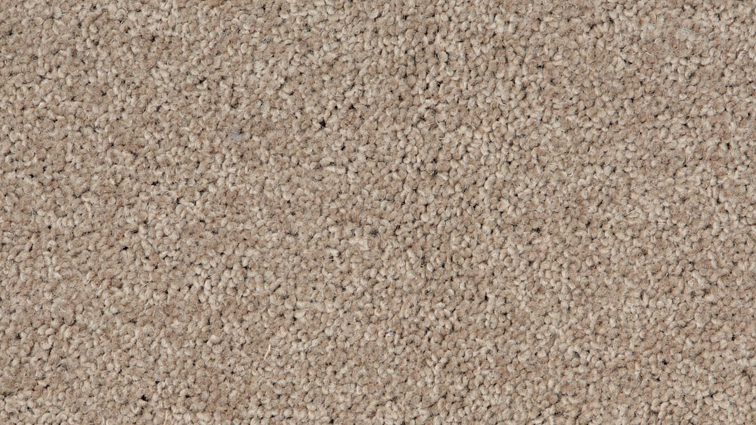 Naturally Smart Naturally Enticing Carpet - Charisma | Harvey Norman