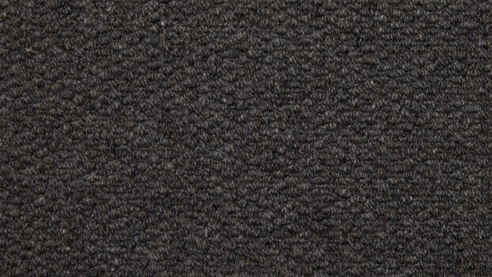 Naturally Smart Everlea Carpet - Graphite | Harvey Norman