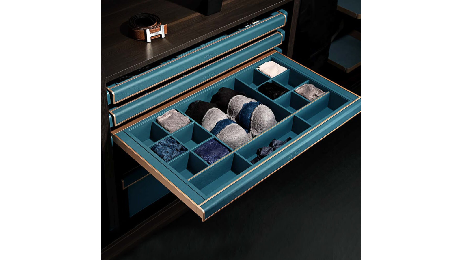 Higold B Series Pull-out Wardrobe Storage Tray with Multiple Section ...