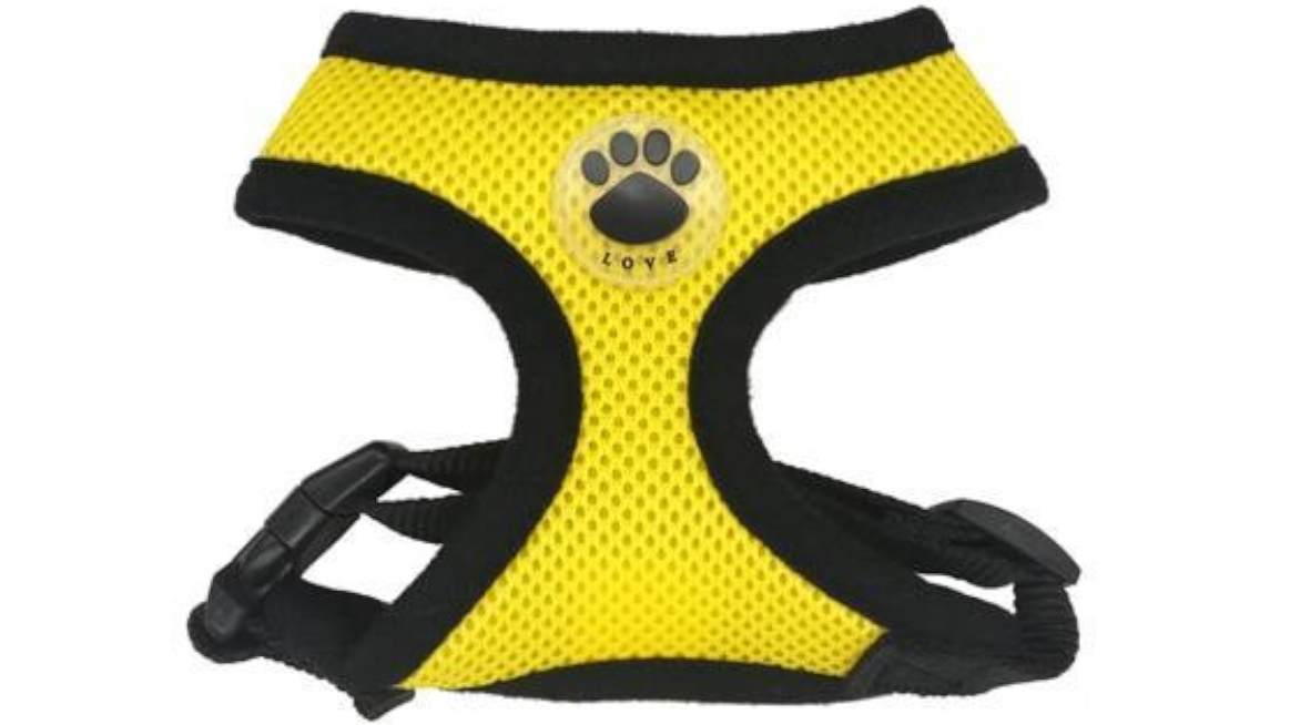 HOD Love Gold Dog Harness - Extra Large | Harvey Norman