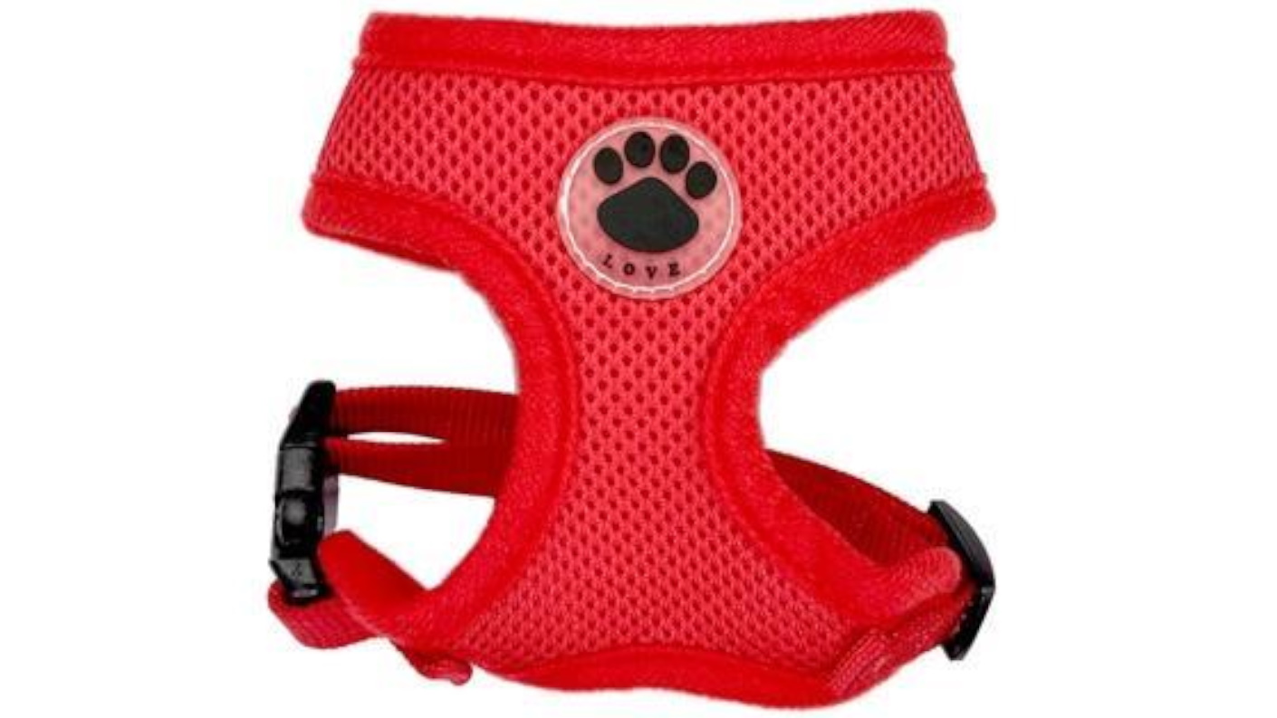 HOD Love Red Dog Harness - Extra Large | Harvey Norman