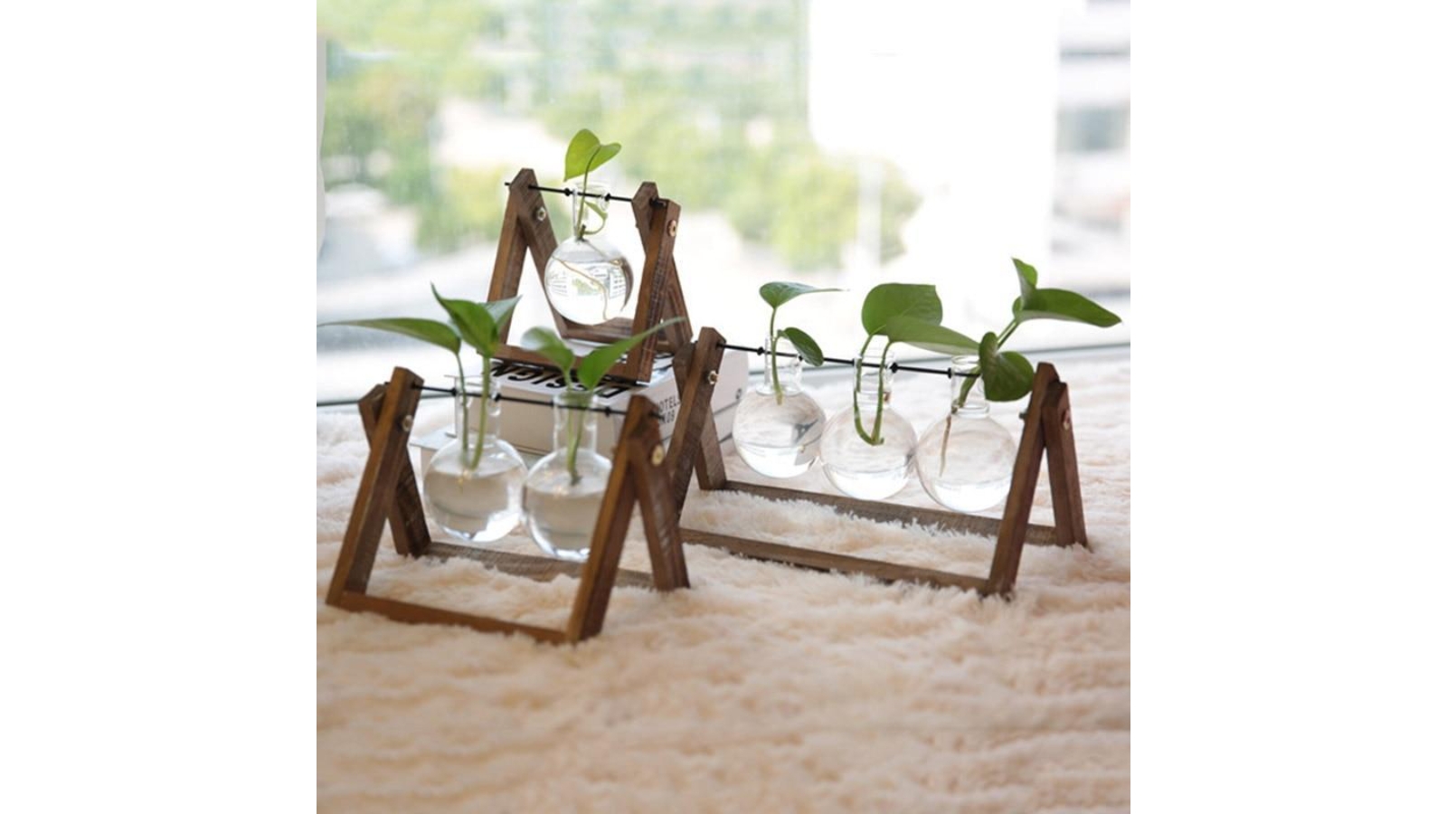HOD Glass And Wood Terrarium Hydroponics Vase Planter - Small | Harvey ...