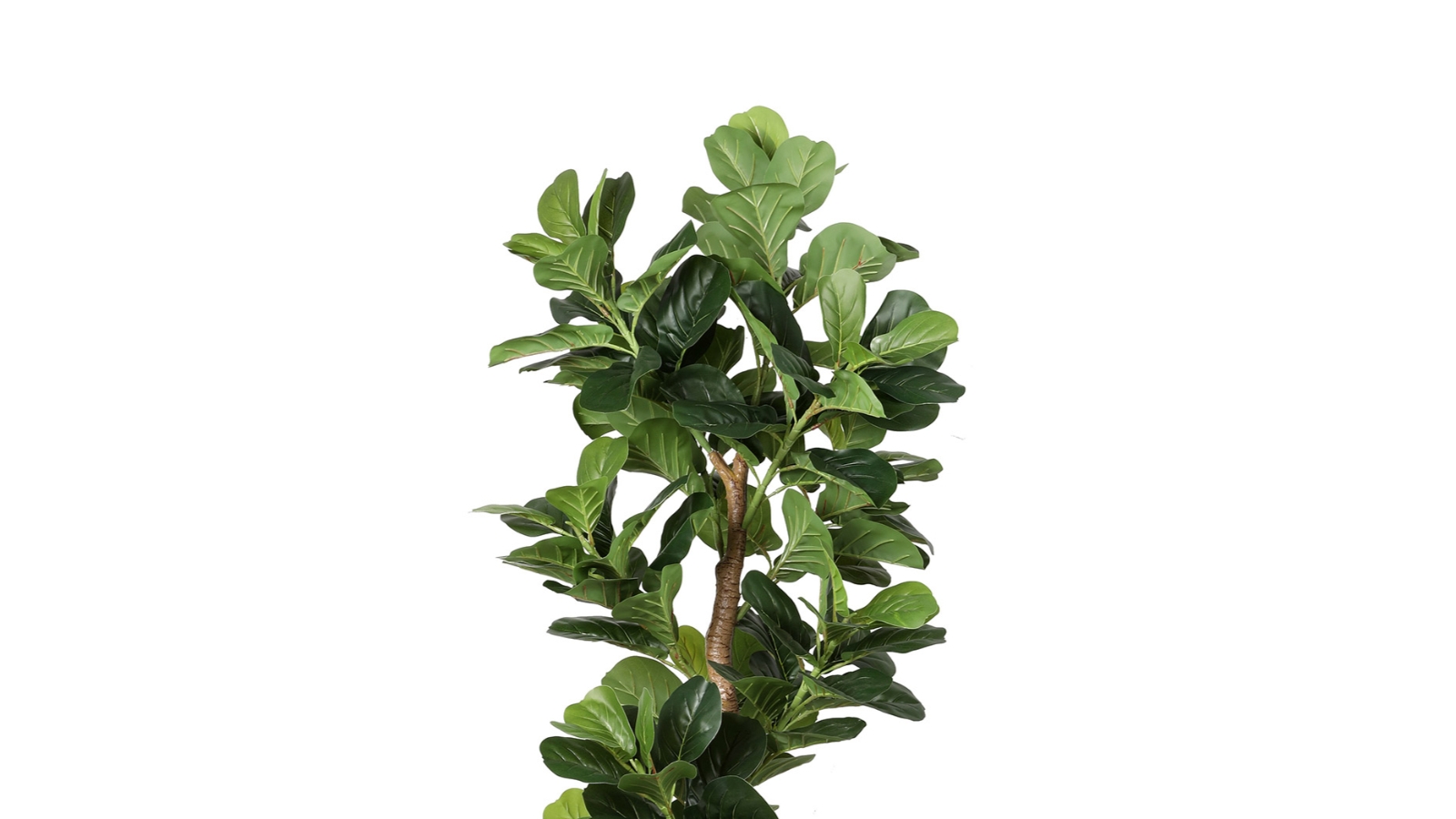 Lambu Artificial Plant Tree - 180cm | Harvey Norman