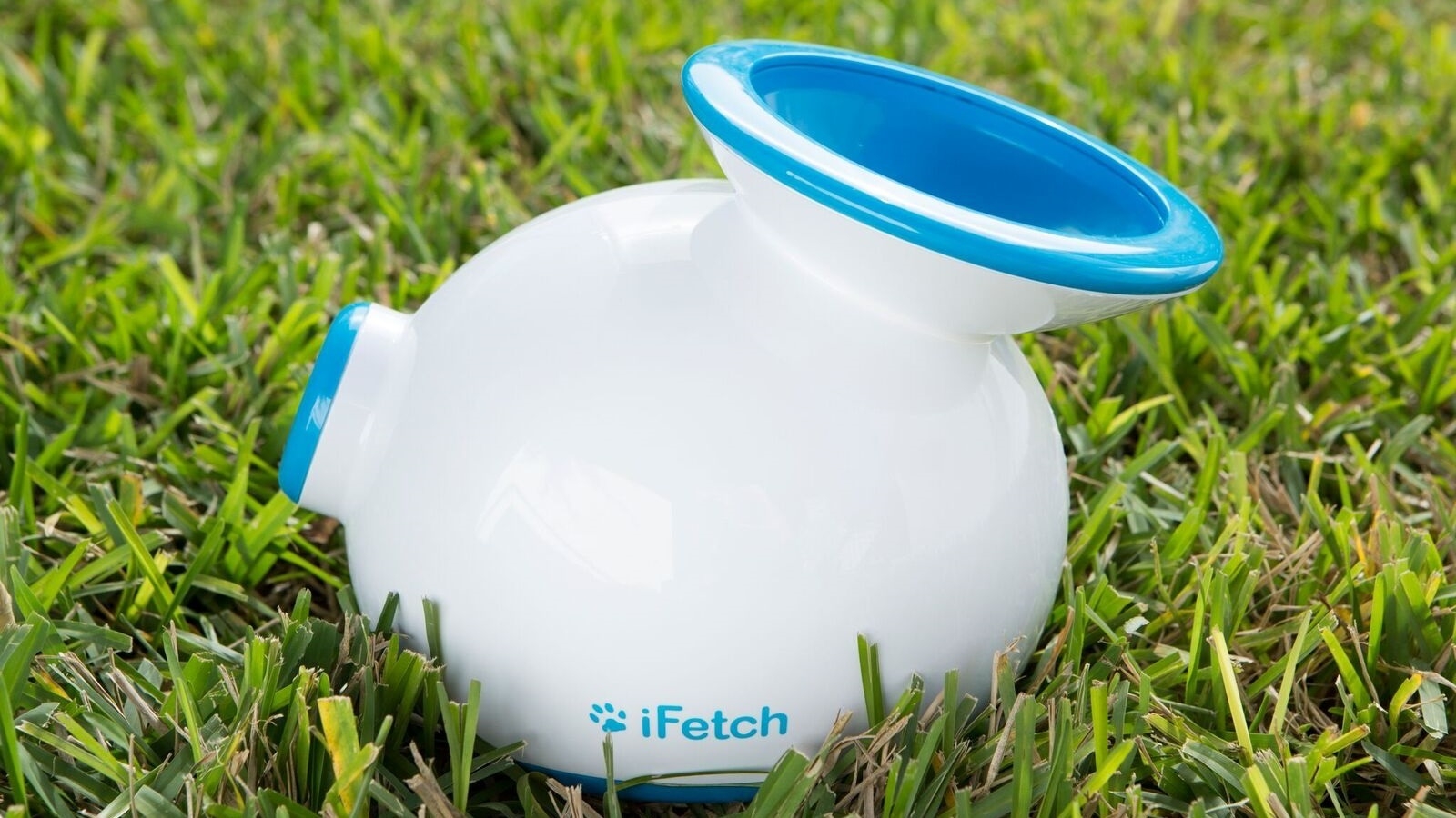 iFetch Original Auto Ball Launcher | Harvey Norman