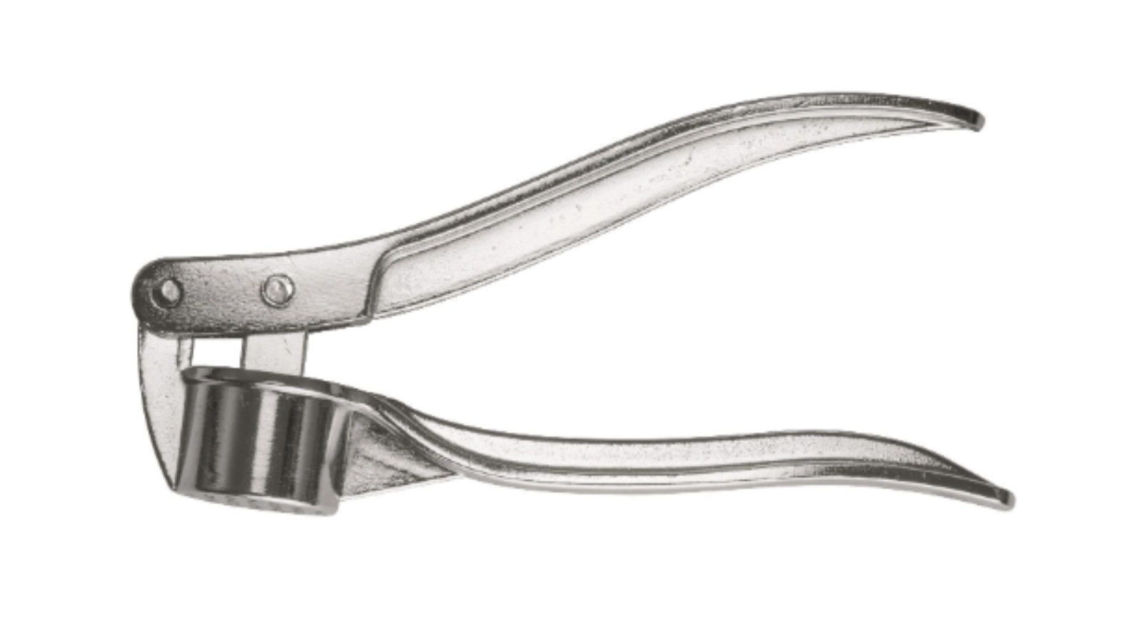 Avanti Cast Alloy Garlic Press | Harvey Norman