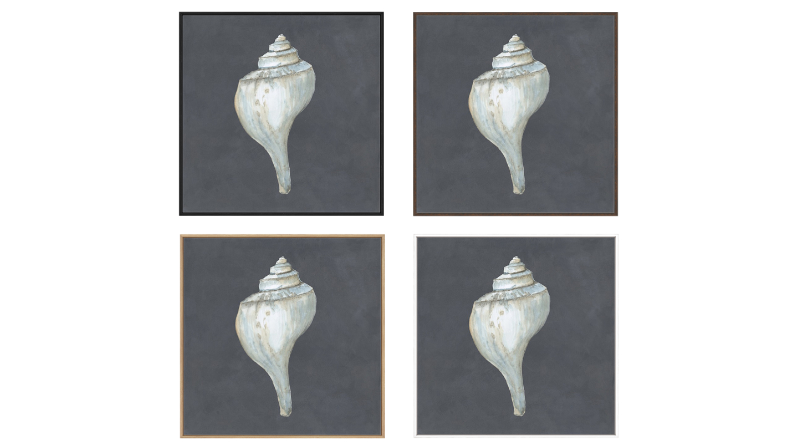 La Grolla Shell on Slate IV Gallery Wall Art | Harvey Norman