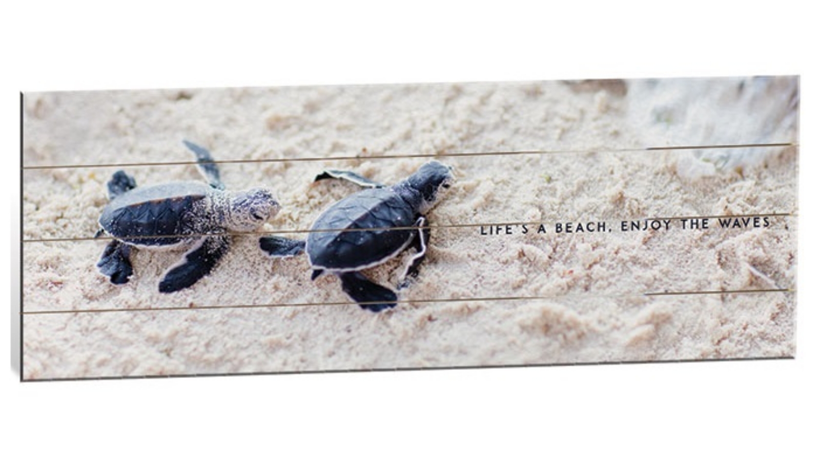 Kelly Lane Baby Pair H Turtle Cove Wall Art | Harvey Norman