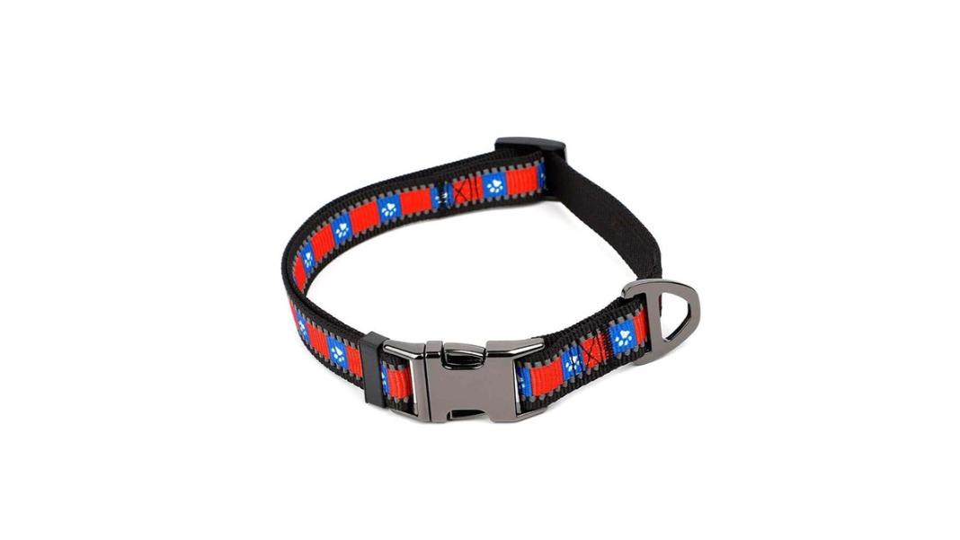 NRL Newcastle Knights Dog Nylon Collar Strap - Small | Harvey Norman