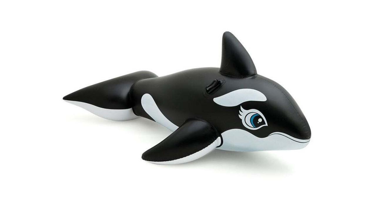 Intex Whale Ride-On Pool Float | Harvey Norman