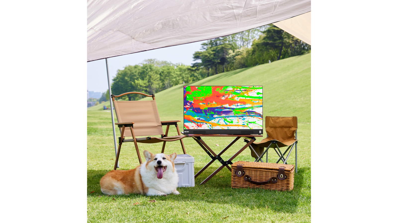 CHiQ 32-inch HD AC/DC/Lithium Battery Powered Portable Google TV ...