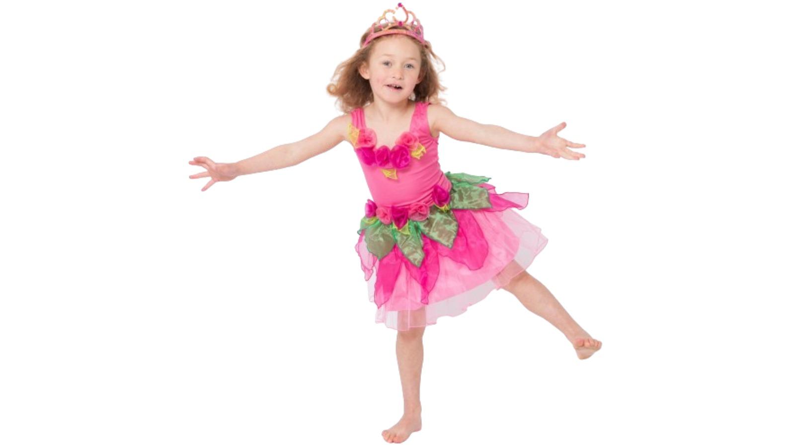 Lets Dress Up Pink Maple Fairy Dress | Harvey Norman