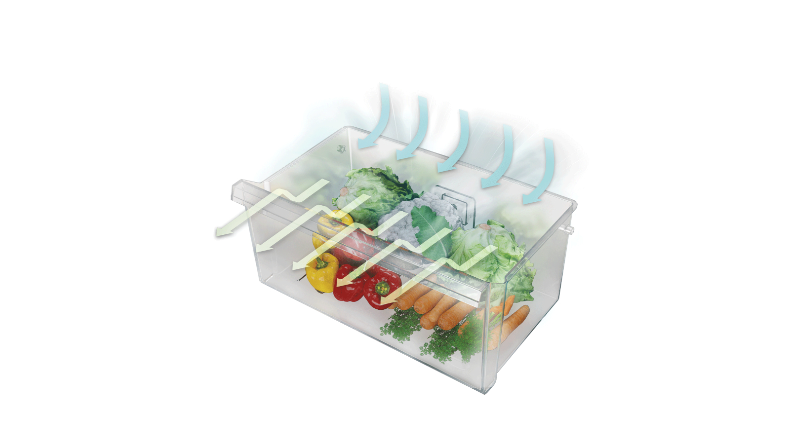 Hitachi 323L Bottom Mount Fridge - Pearl Steel | Harvey Norman