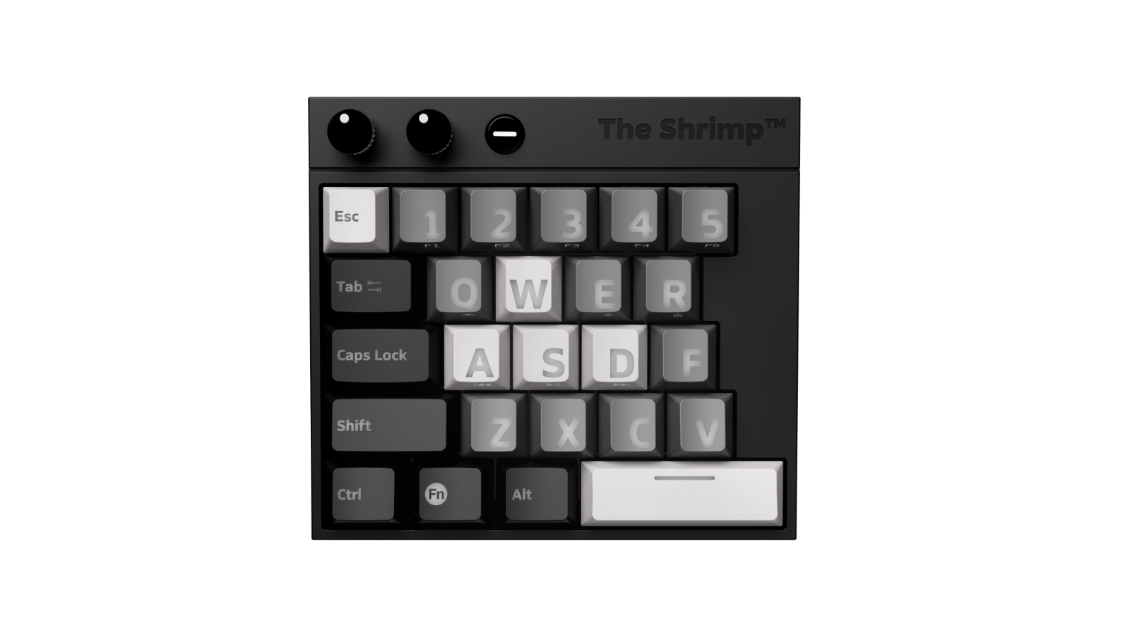 Shrimp Model 1 Gaming Keyboard - Monochrome | Harvey Norman