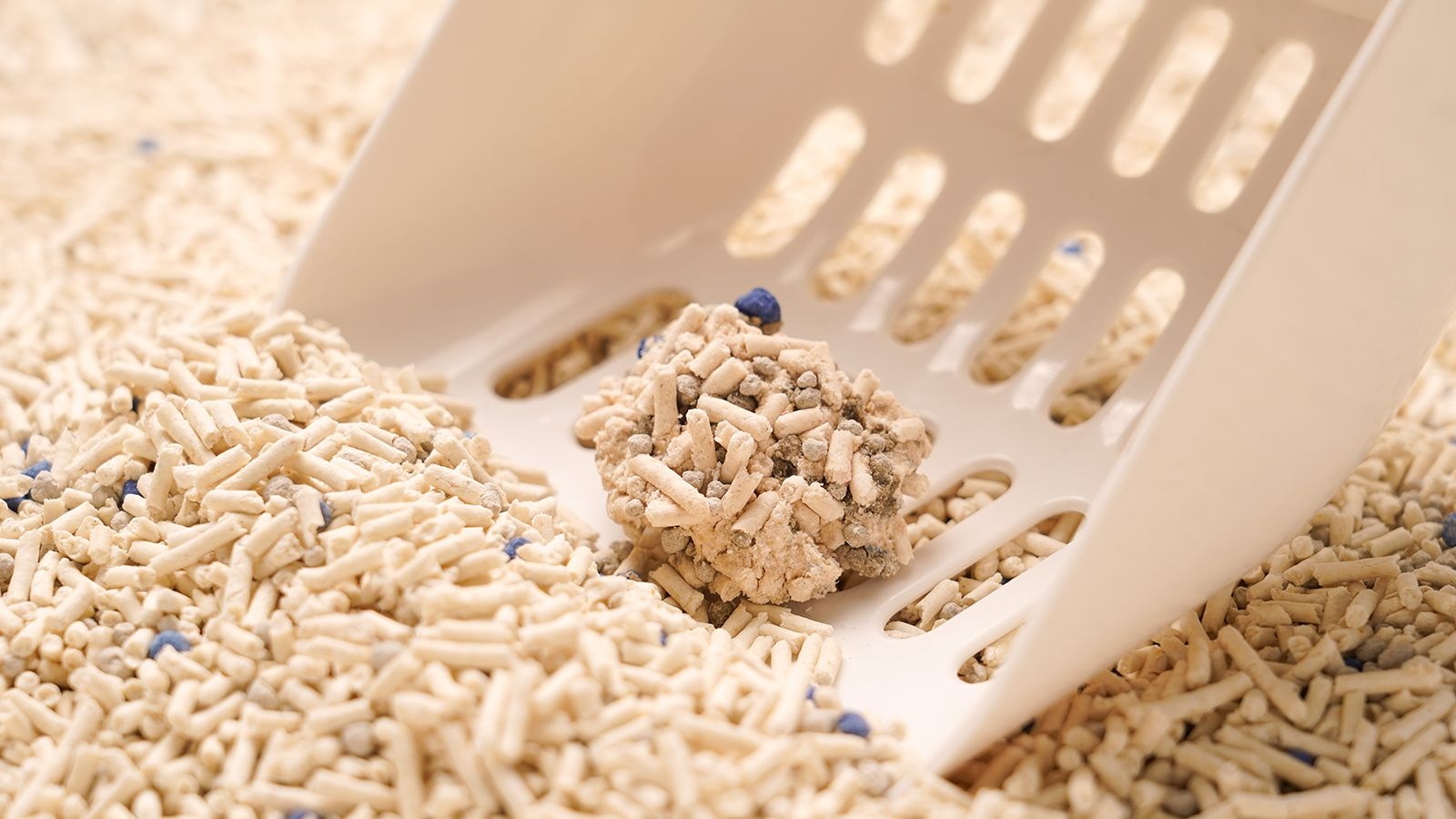 Pidan Composite Cat Litter - 7L (Original Tofu + Bentonite) | Harvey Norman