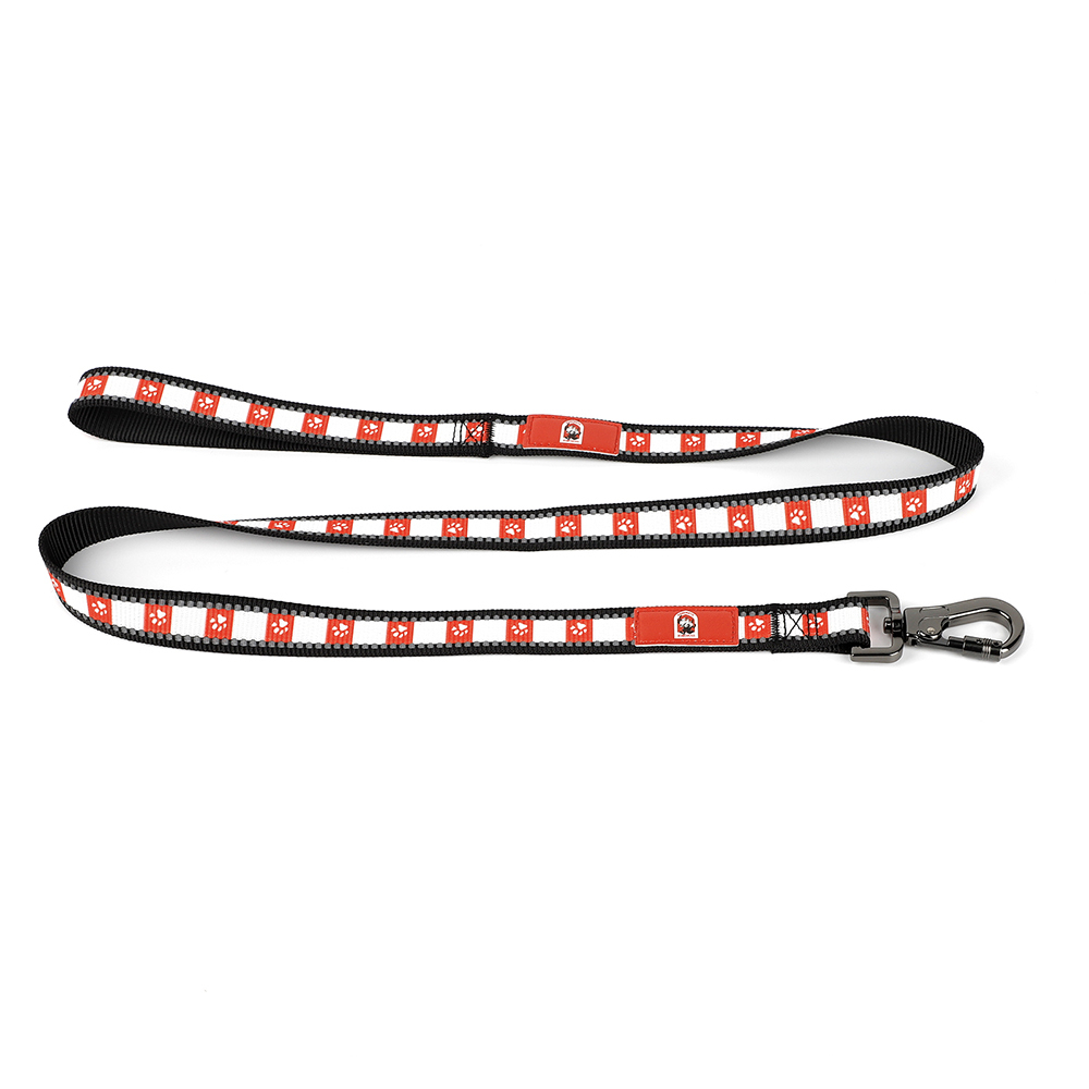 NRL St George Dragons Dog Walking Lead | Harvey Norman