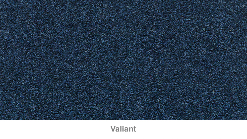 Naturally Smart Naturally Enticing Carpet | Harvey Norman