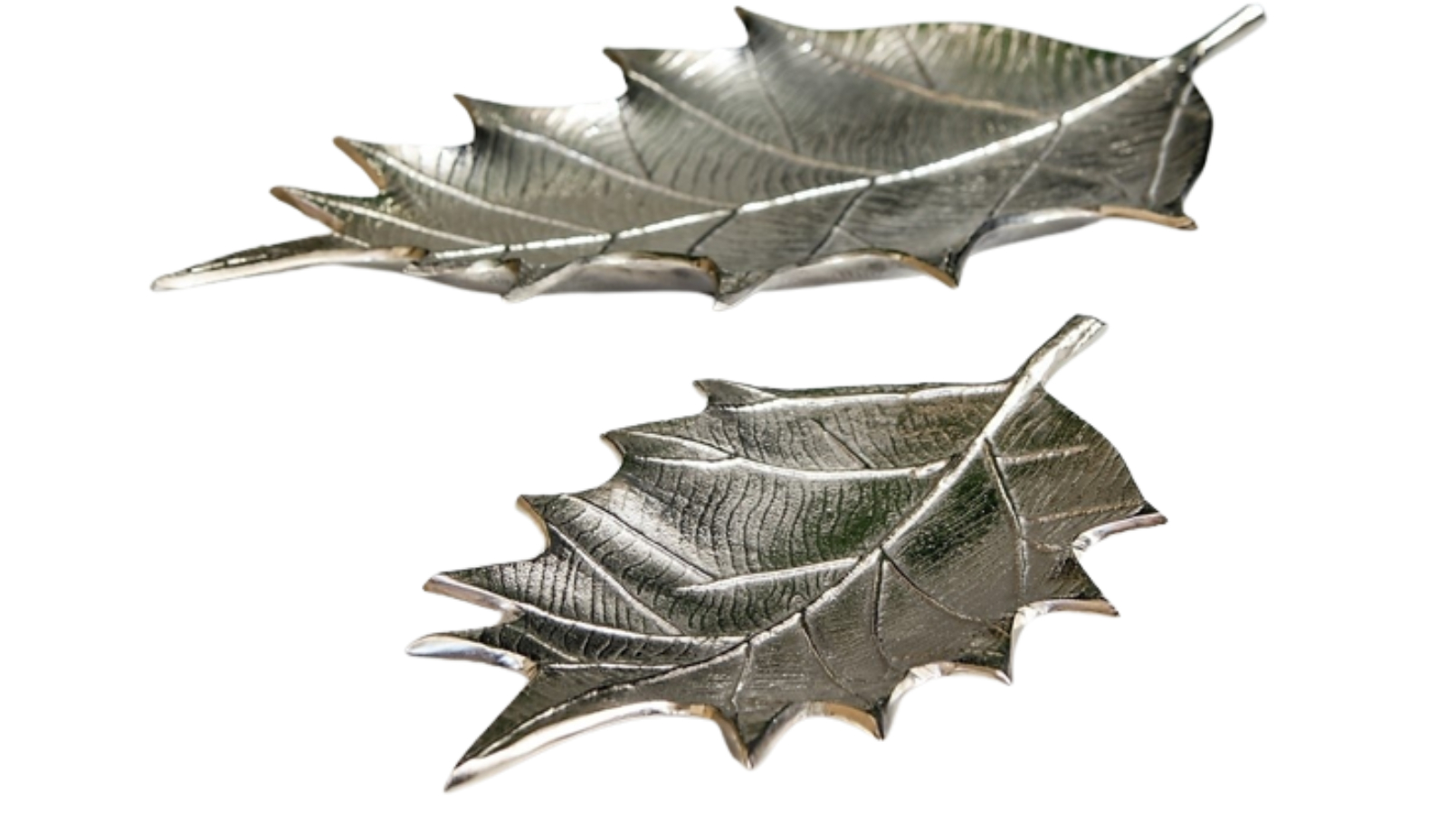 SSH Collection Oak Large 51cm Long Decorative Leaf - Nickel | Harvey Norman