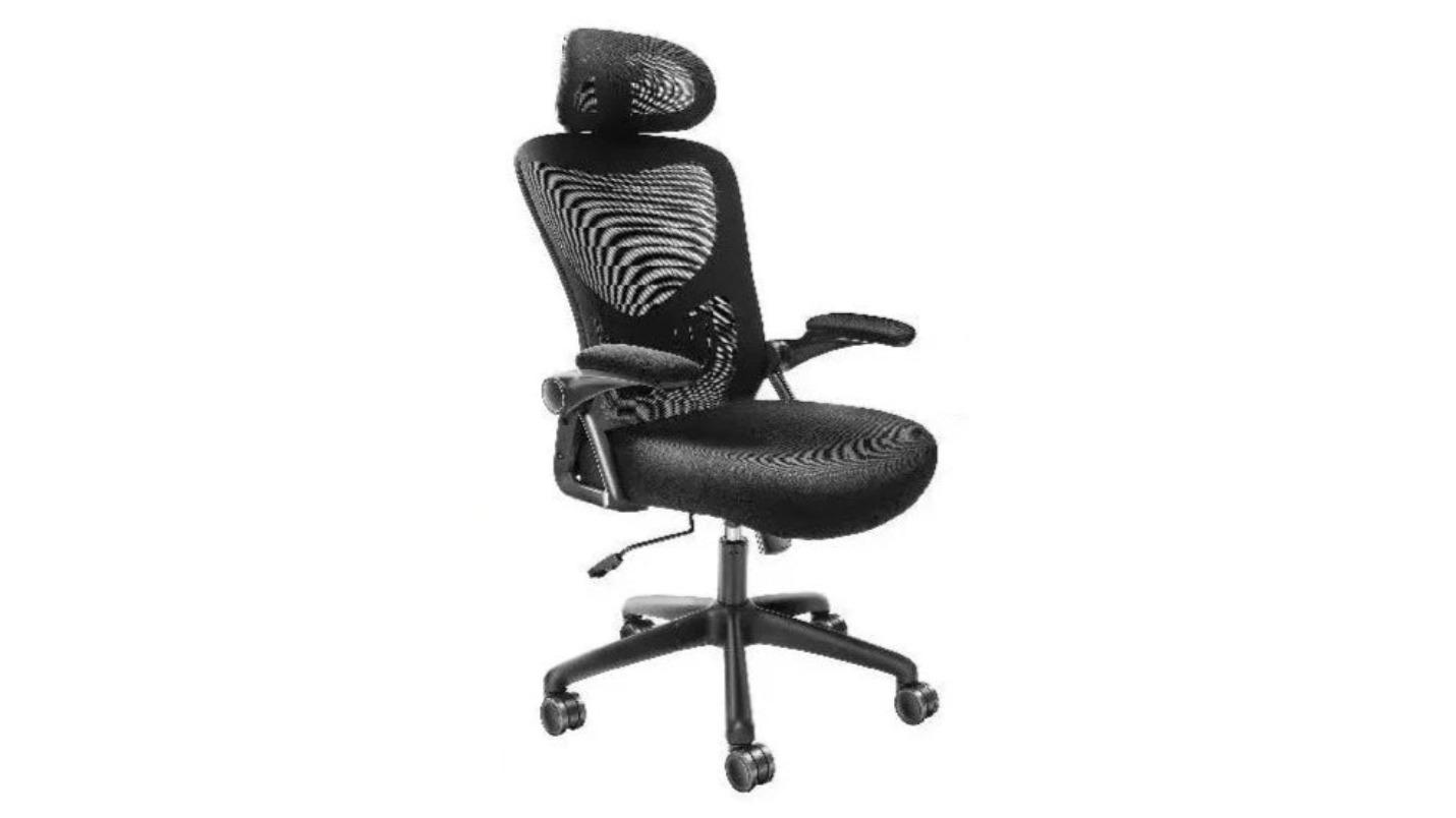 NNEOBA Ergonomic Office Chair with Adjustable Lumbar Support | Harvey ...