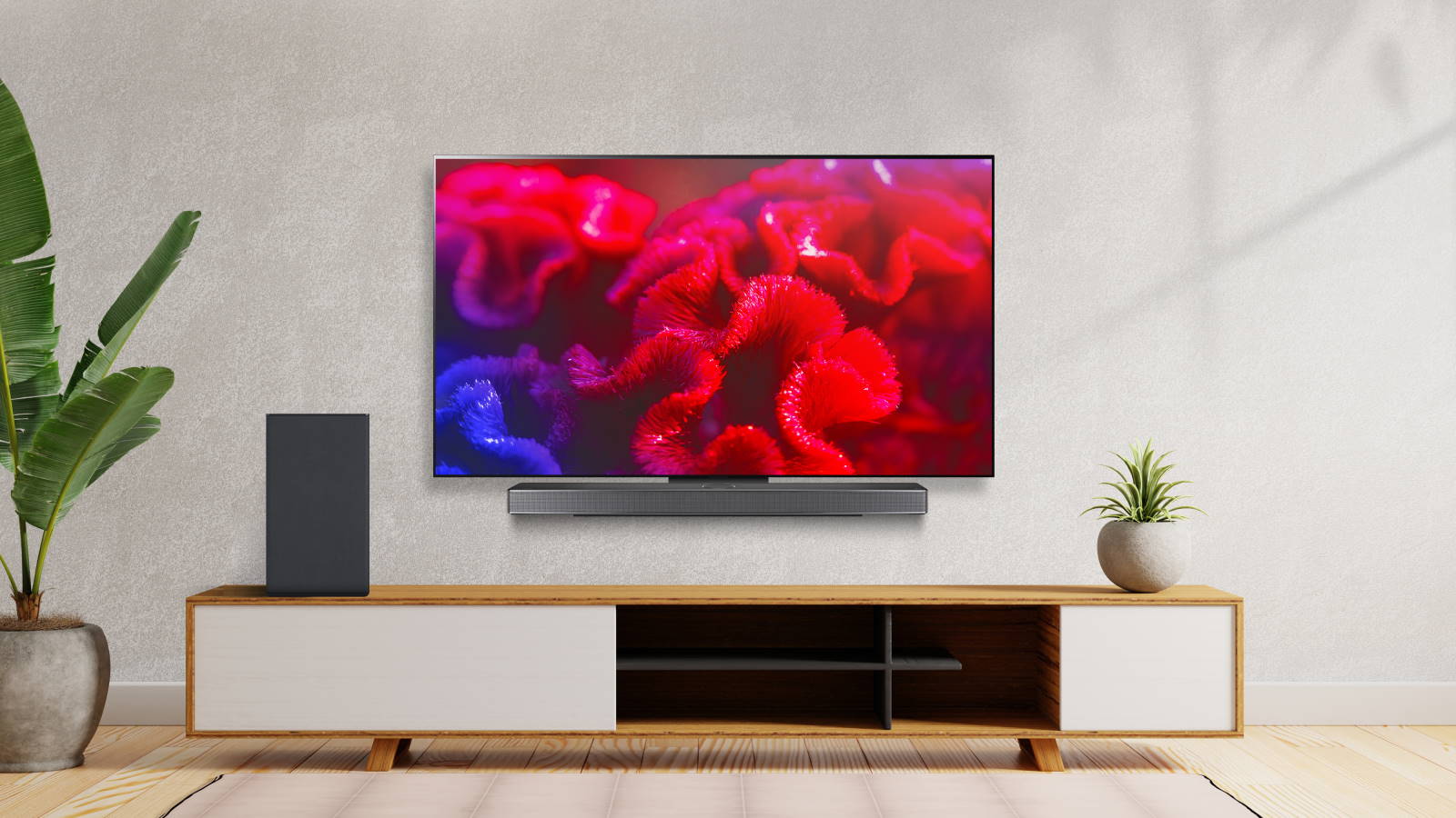 LG 65-inch C4 4K UHD OLED evo Smart TV | Harvey Norman