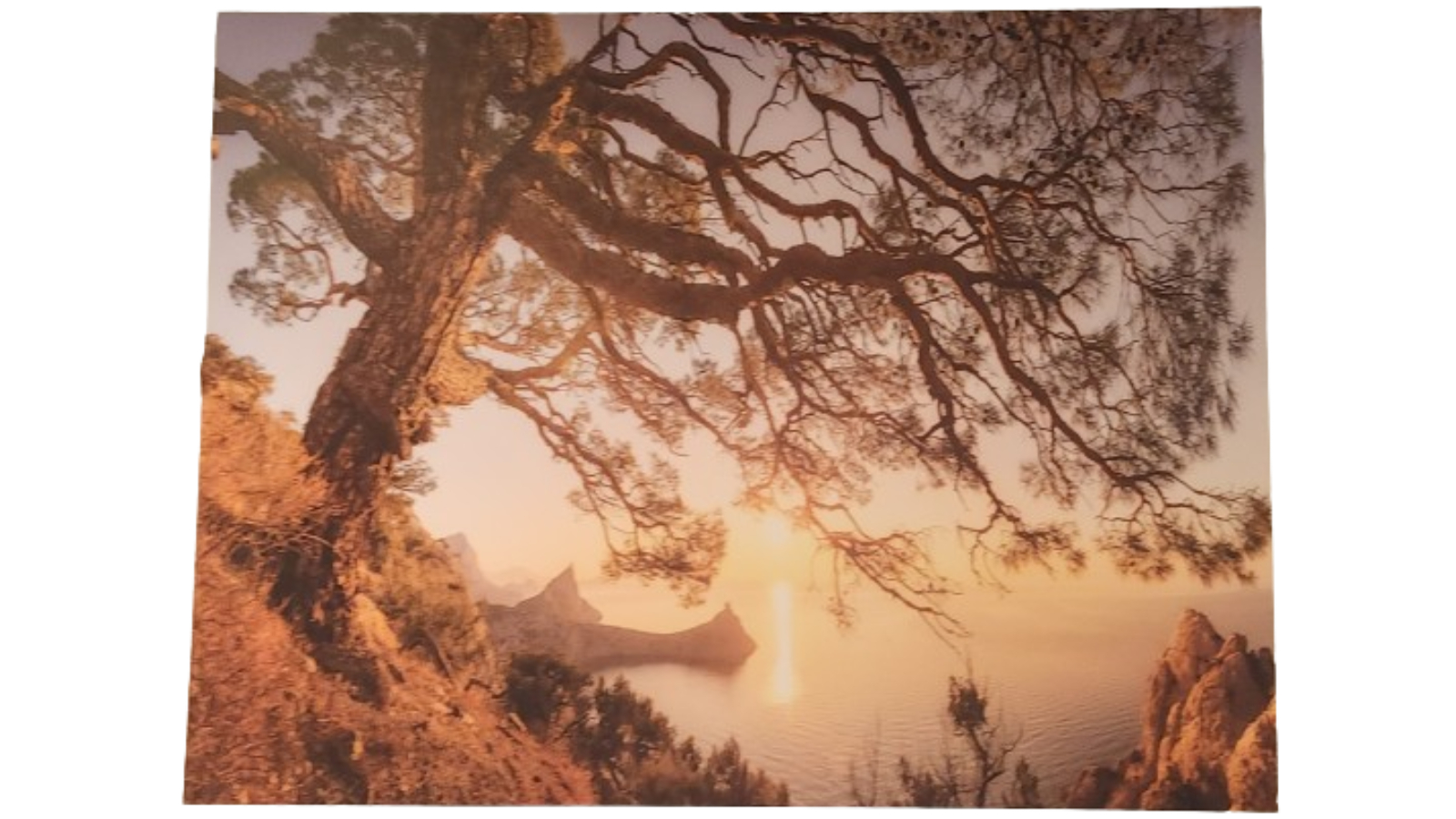 One Tree Hill Wall Art | Harvey Norman