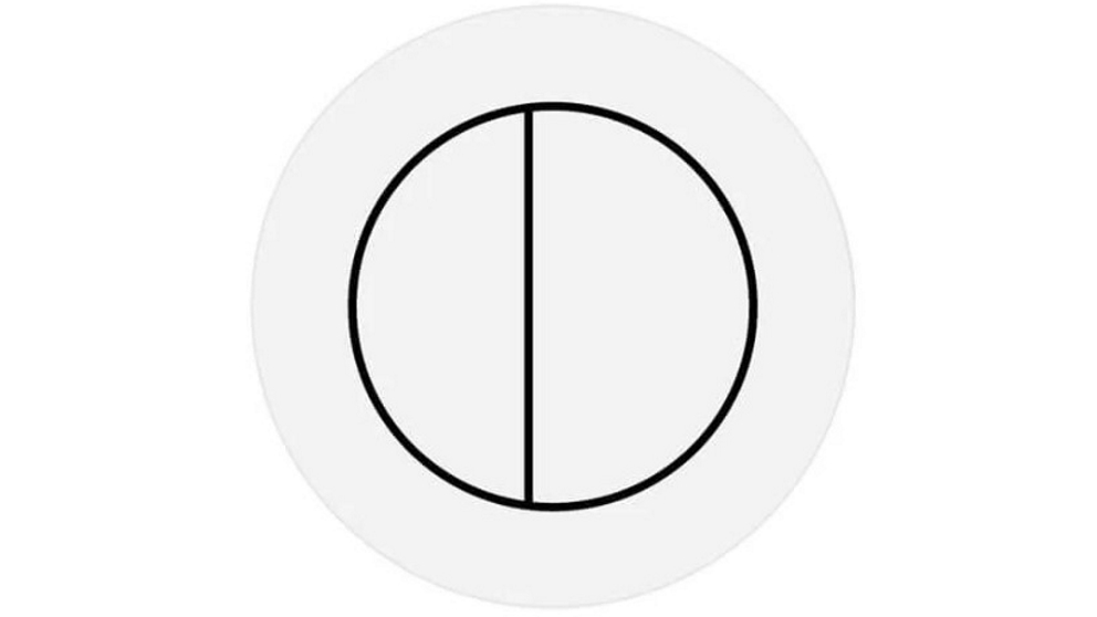 Parisi Actuator Button for Toilet Suite Cisterns - White | Harvey Norman