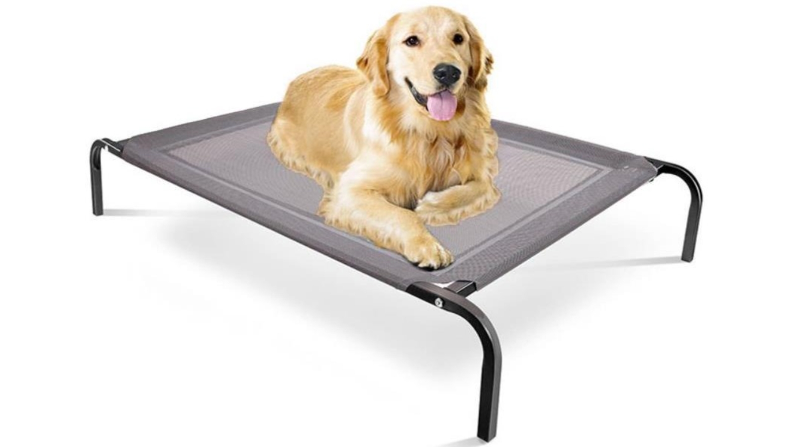 Dog trampoline bed store