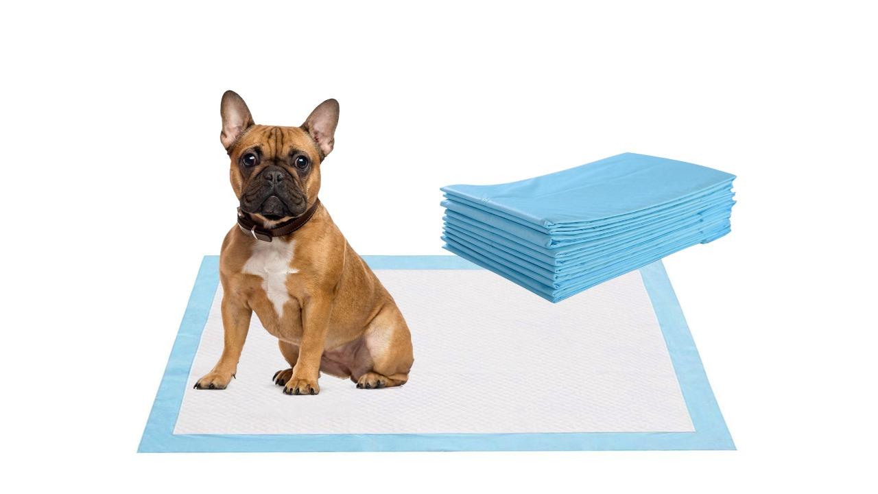 Costway Sky Blue Puppy Wee Pee Pad - 60 x 90cm | Harvey Norman