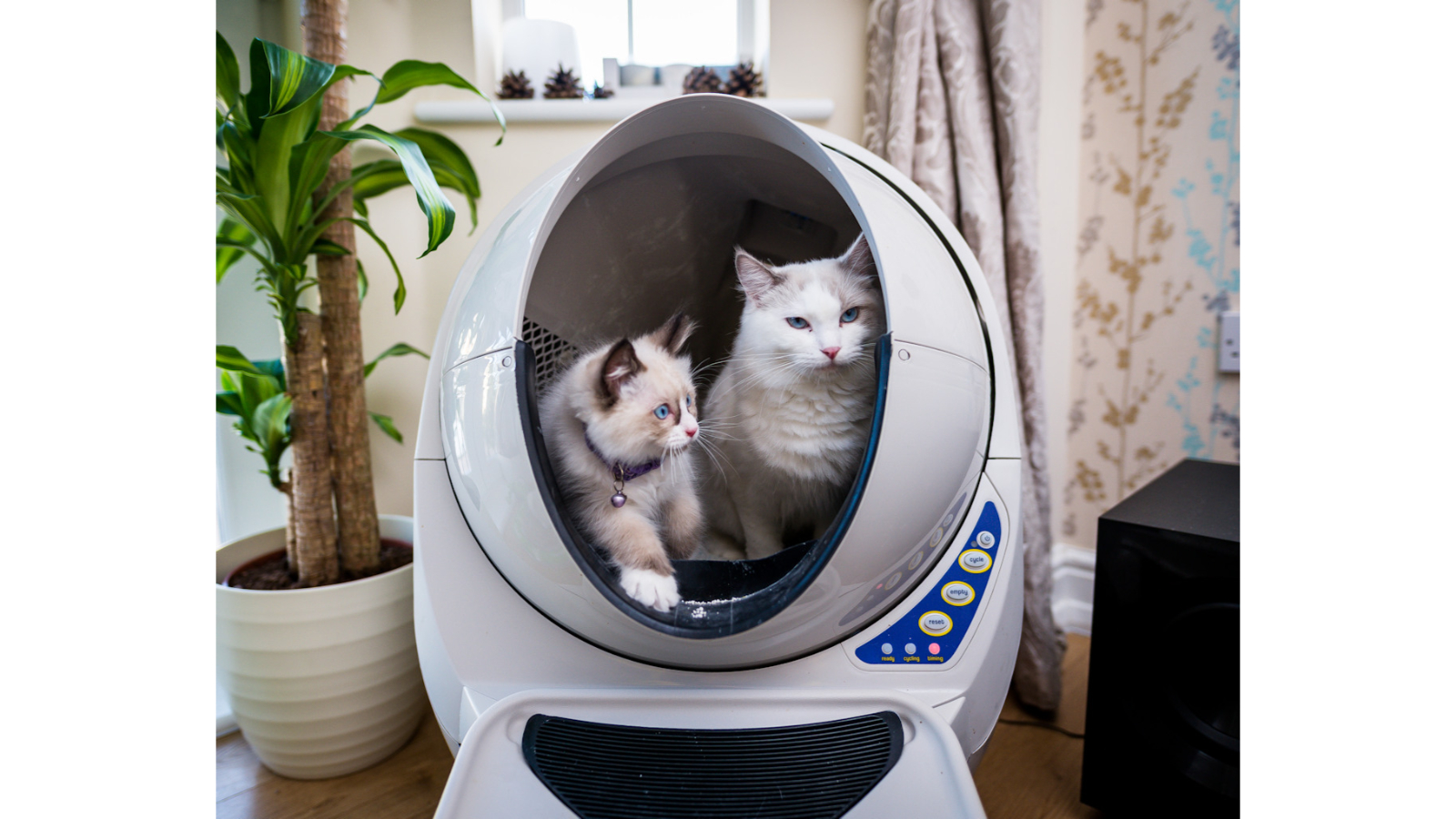 Litter Robot III Automatic Self Cleaning Cat Litter System | Harvey Norman