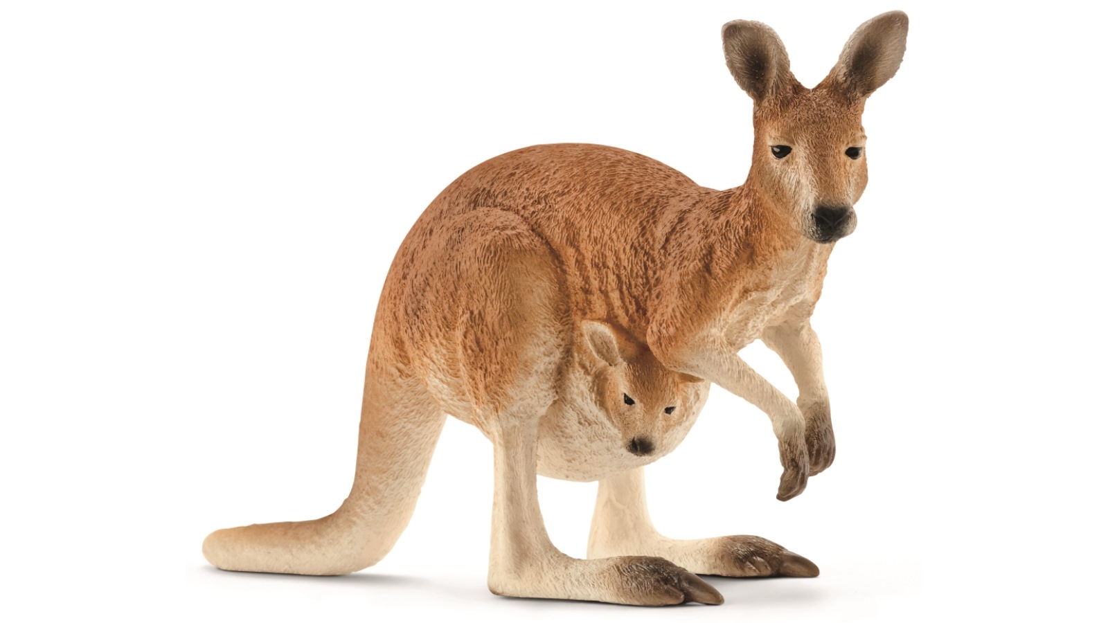 Schleich Kangaroo Toy Figure | Harvey Norman