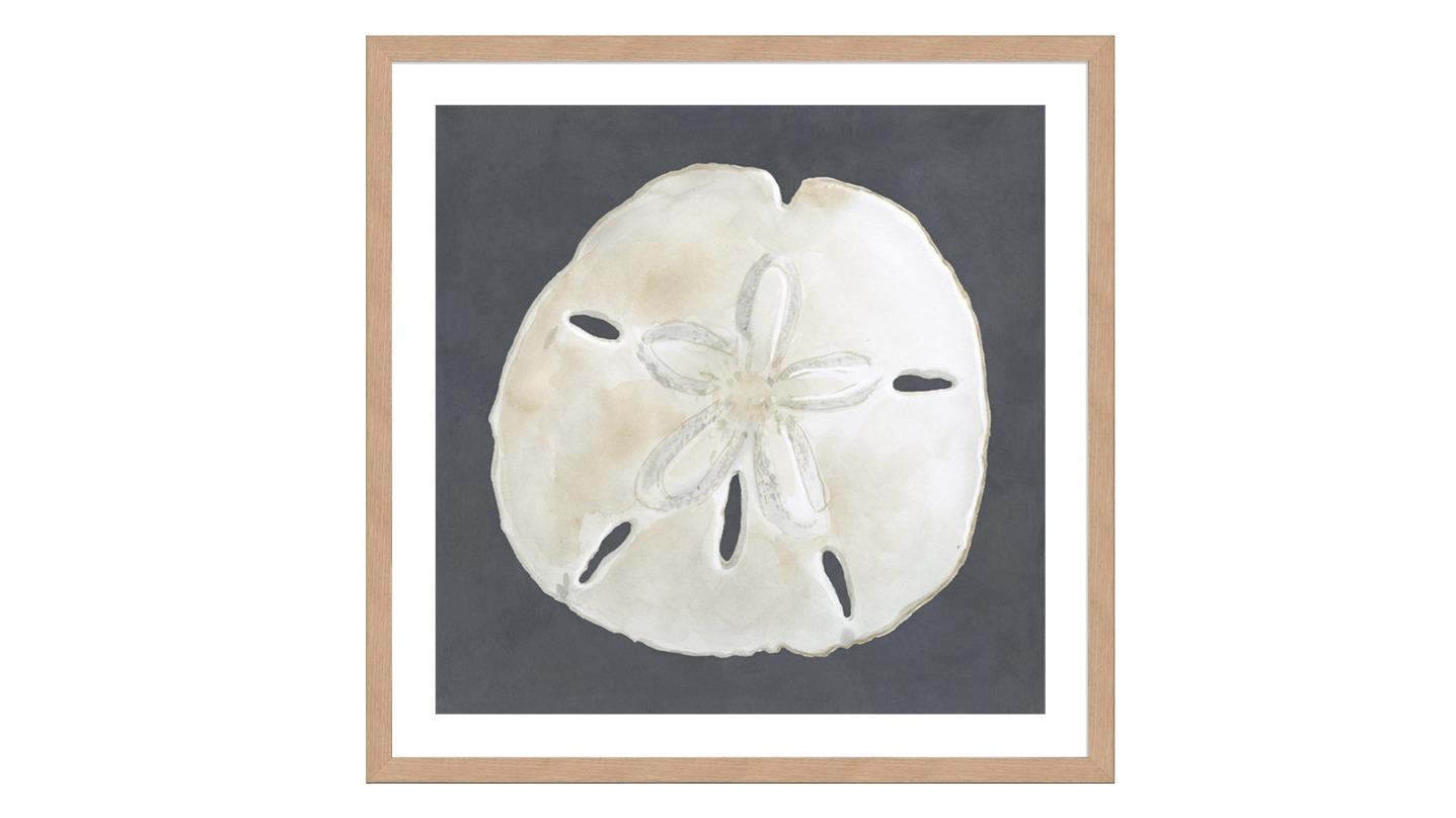 La Grolla Shell on Slate II Natural Frame Wall Art - 96 x 96cm | Harvey ...