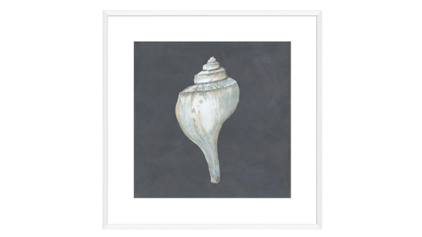 La Grolla Shell on Slate IV White Frame Wall Art - 104 x 104cm | Harvey ...