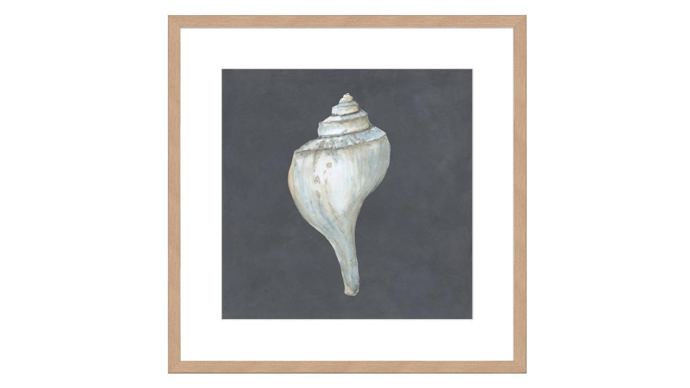 La Grolla Shell on Slate IV Natural Frame Wall Art - 66 x 66cm | Harvey ...