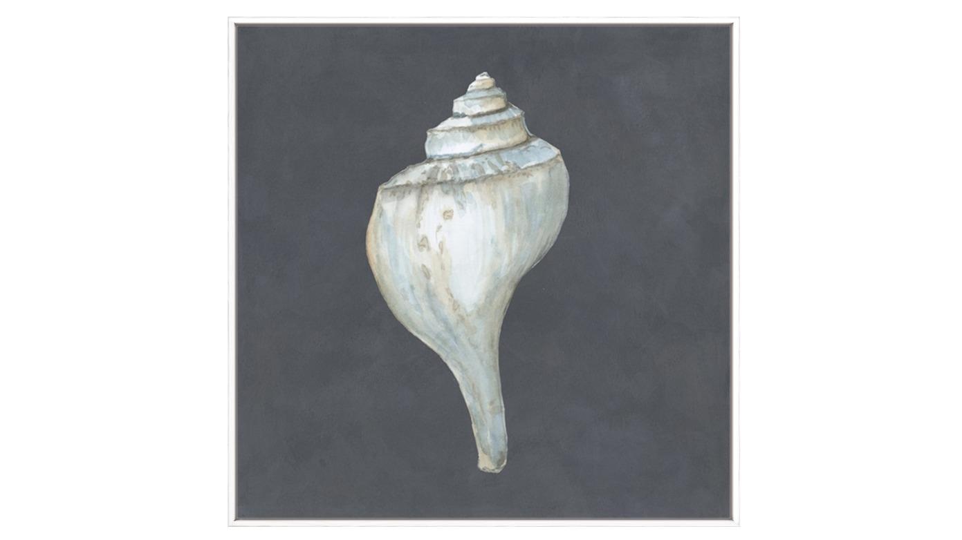 La Grolla Shell on Slate IV White Gallery Wall Art - 103 x 103cm ...