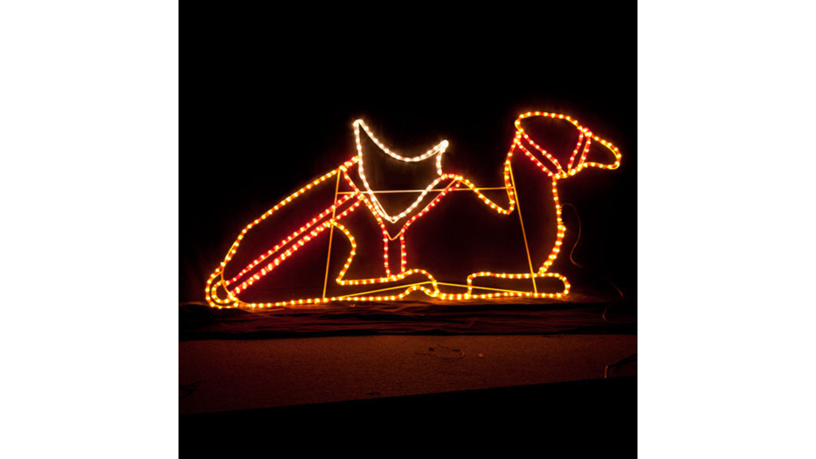 Hisen 3Wise Men's Sitting Camel Motif Nativity LED Christmas Rope Light ...