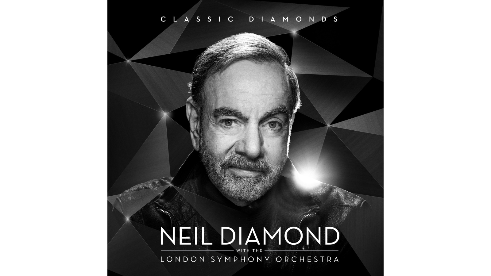 Neil Diamond Classic Diamonds Double Vinyl Album & Record Storage ...