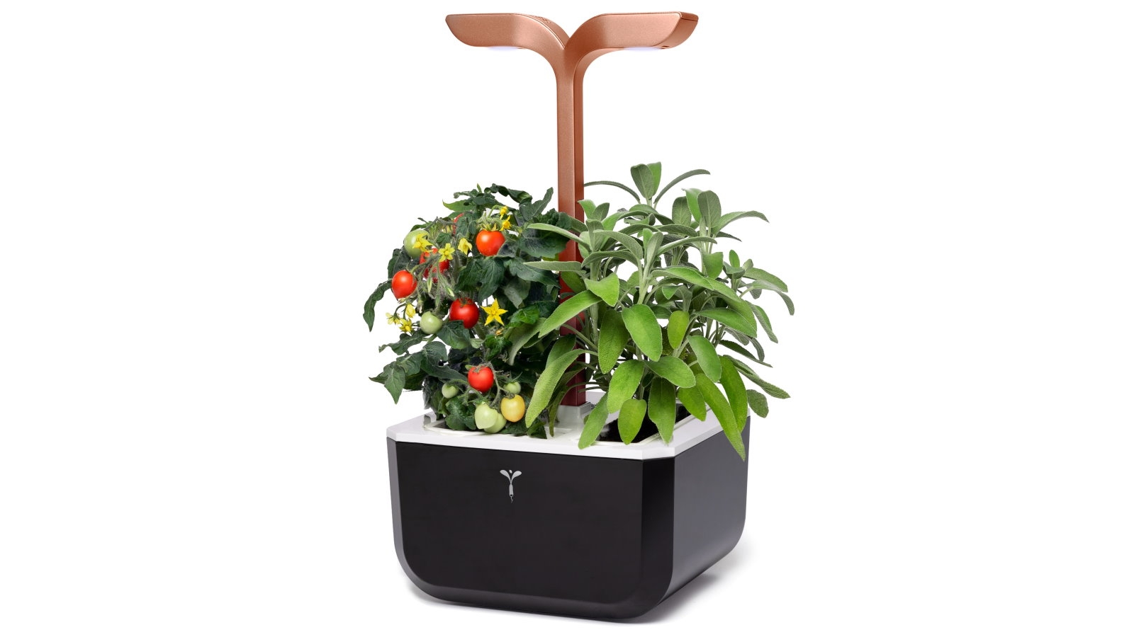 Veritable Exky Smart Hydro Indoor Garden - Copper | Harvey Norman