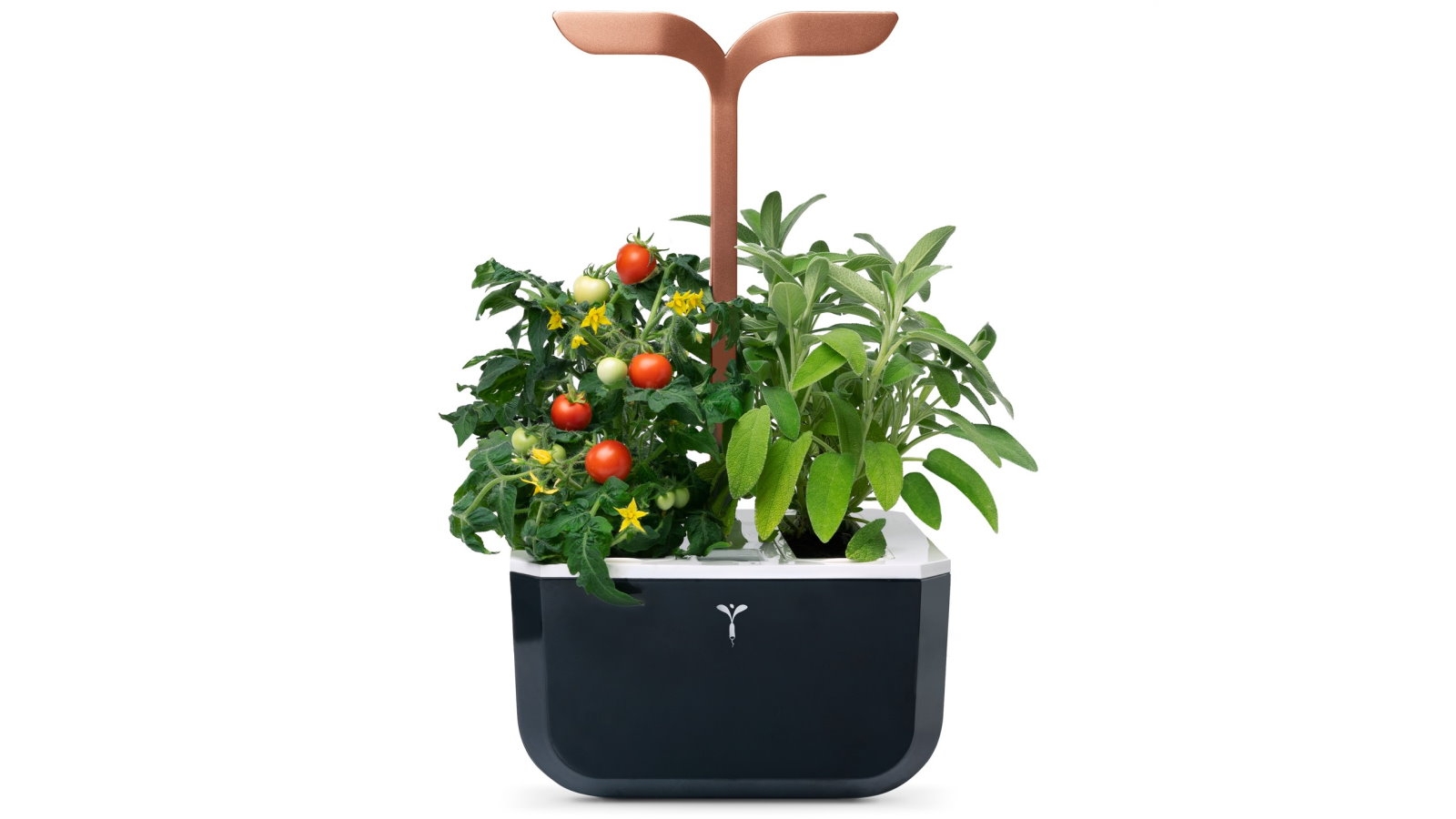 Veritable Exky Smart Hydro Indoor Garden - Copper | Harvey Norman