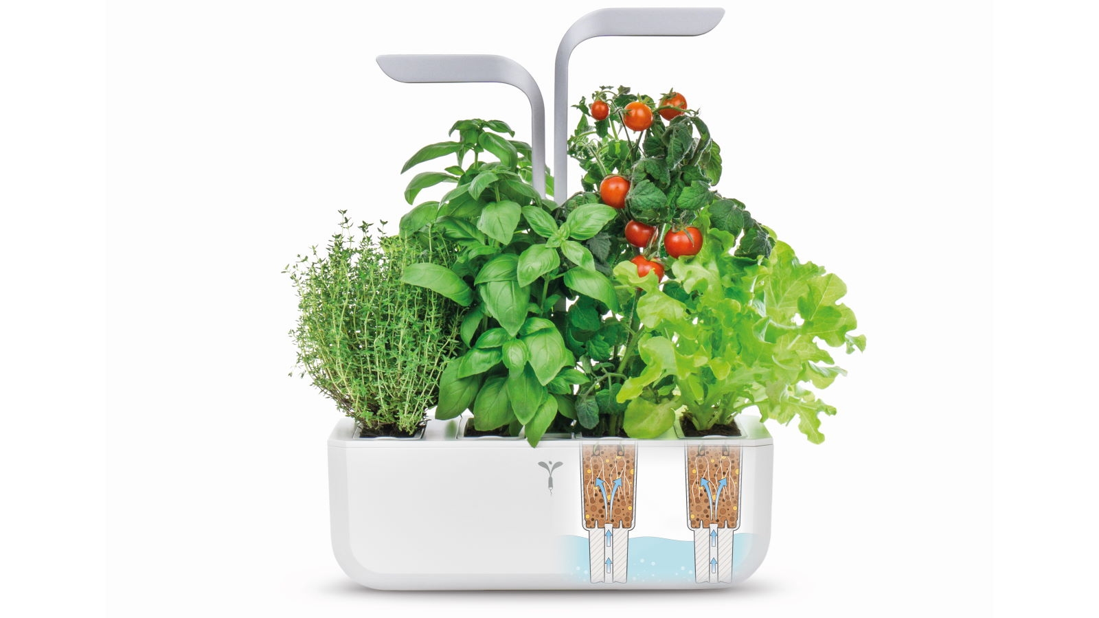 Veritable Smart Hydro Indoor Garden | Harvey Norman
