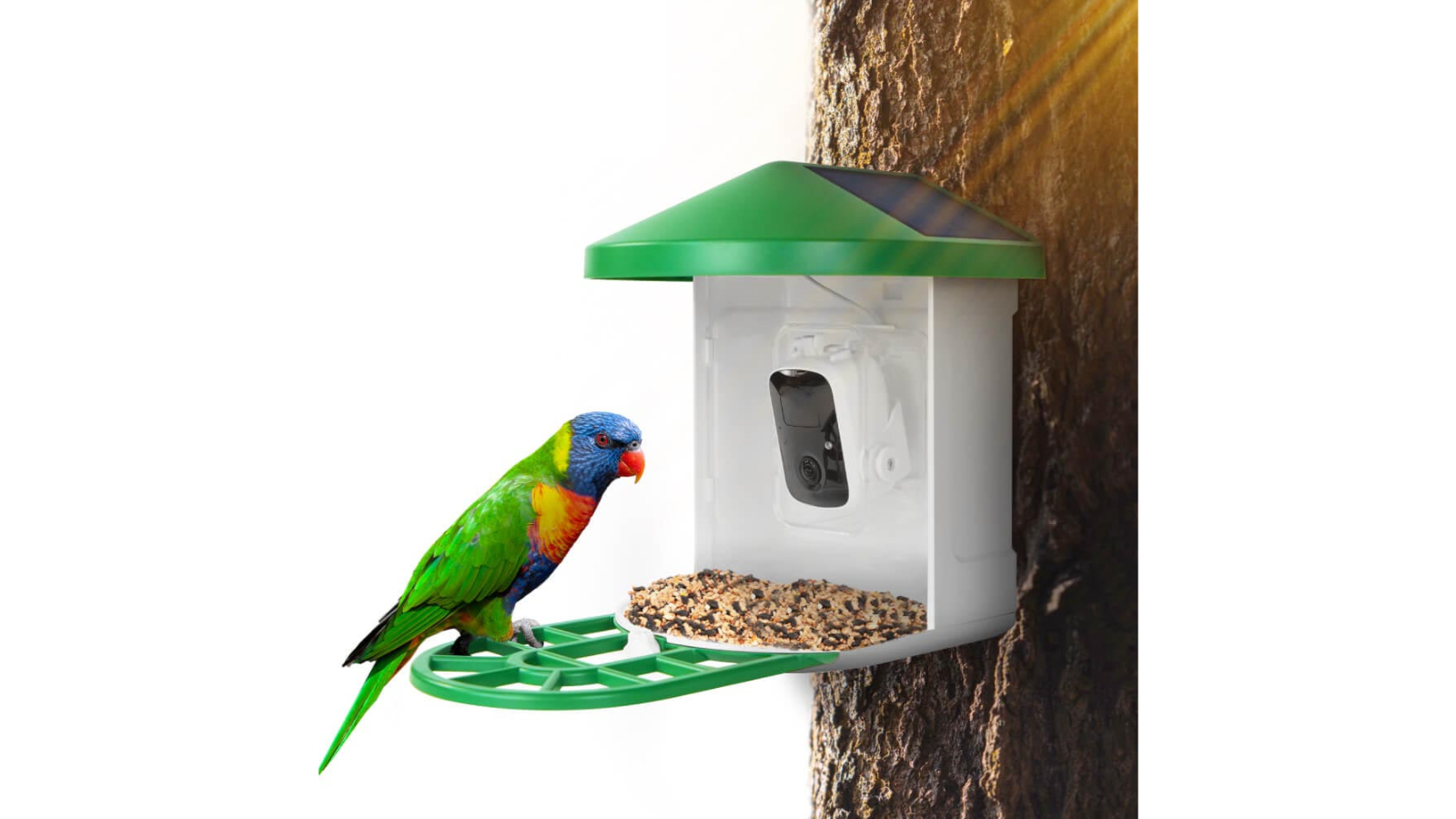 Vimel Wireless Bird Feeder Camera with Solar Battery Powered and WiFi ...