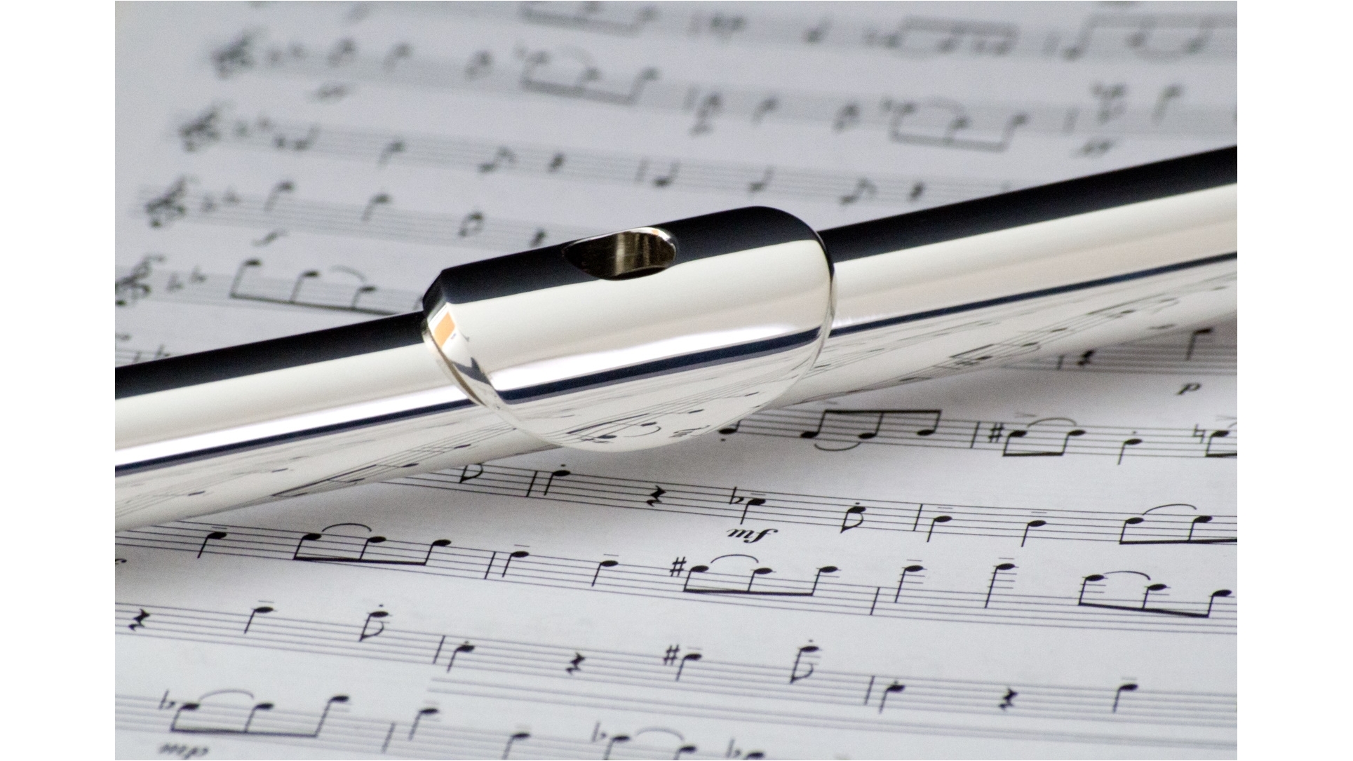 John Packer Flute - Silver | Harvey Norman