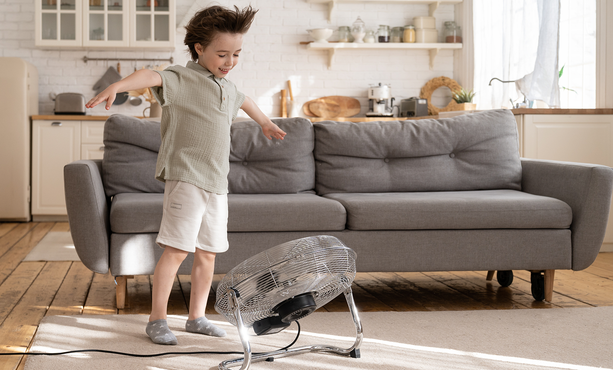 The Best Fans of 2026 | Tried & Tested by Real Customers | Harvey Norman