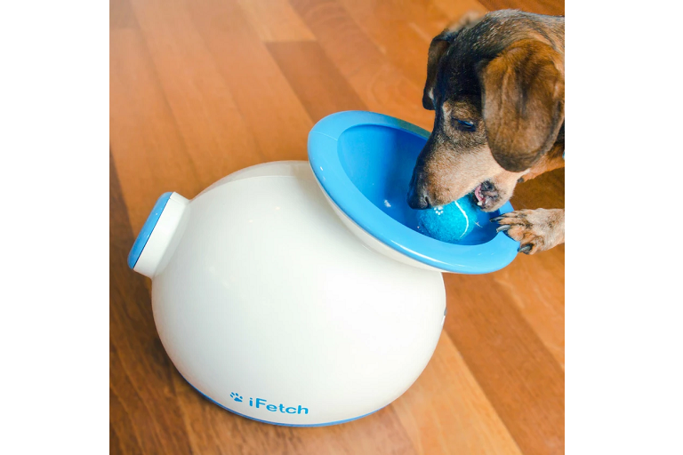 iFetch Original Auto Ball Launcher | Harvey Norman