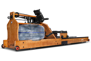 Lifespan Fitness ROWER-760 Water Resistance Foldable Rowing Machine ...